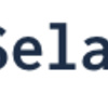 Sela AI Careers - Insights and Opportunities