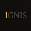 Ignis Agency Careers - Insights and Opportunities