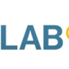 Lab 916 Jobs | Wellfound