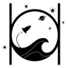 Chief Satellite Constellation Engineer | Space Ocean Corp | Equity-Only ...