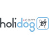 Holidog Careers - Insights and Opportunities