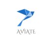 Aviate Jobs | Wellfound