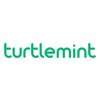 Turtlemint Careers - Insights and Opportunities